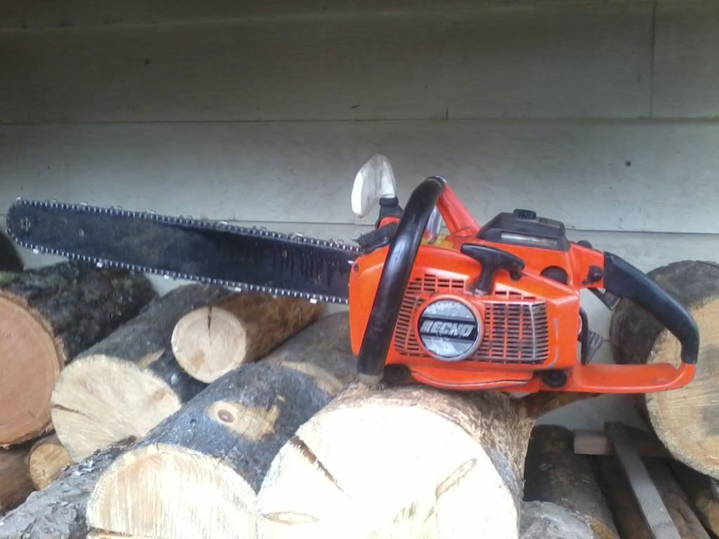 Echo cs 550 evl, an ok chainsaw. | Arborist, Chainsaw & Tree Work Forum