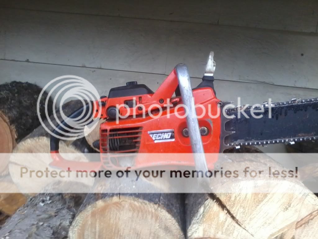 Echo cs 550 evl, an ok chainsaw. | Arborist, Chainsaw & Tree Work Forum