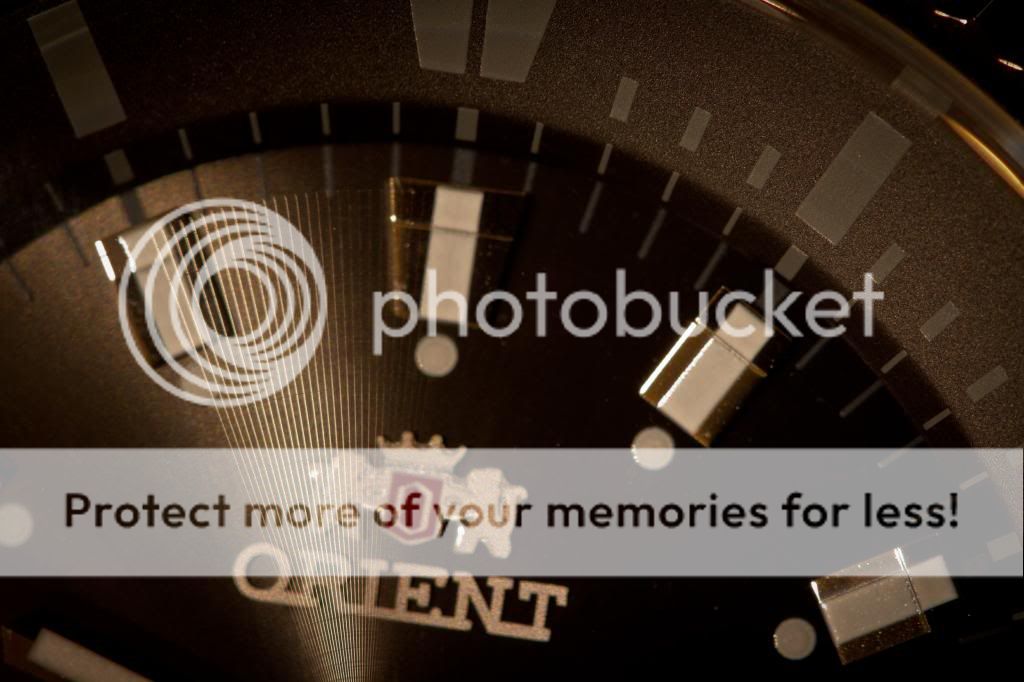 Orient King Diver Reissue PVD photos | WatchUSeek Watch Forums