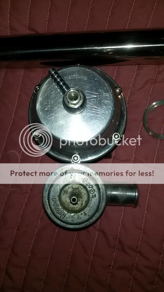 Tial F38 wg and Forge 007 BOV | VW Vortex - Volkswagen Forum