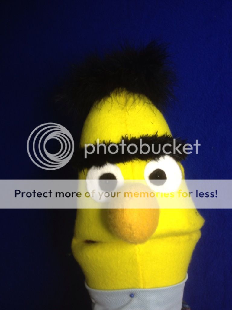 Sesame Street's "Bert" style puppet | Muppet Central Forum